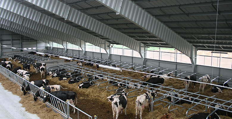 Livestock stables | BORGA